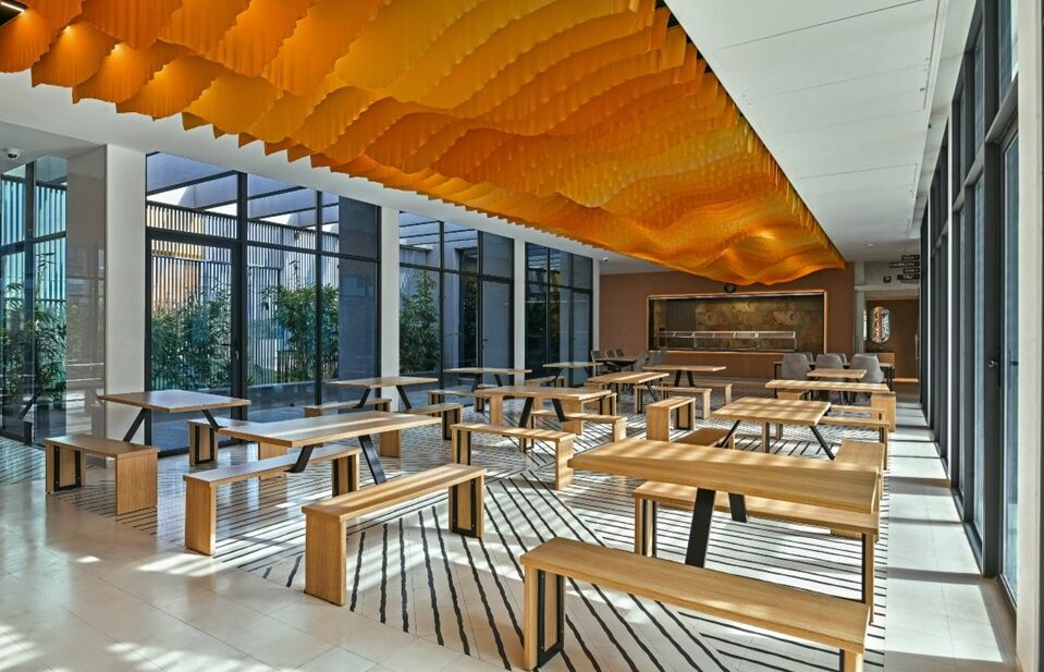 Agrocel Industries Pvt. Ltd. – Teagan